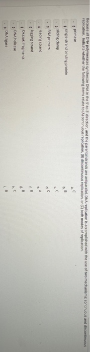 Solved Alignment of the chromosomes at the spindle equator. | Chegg.com