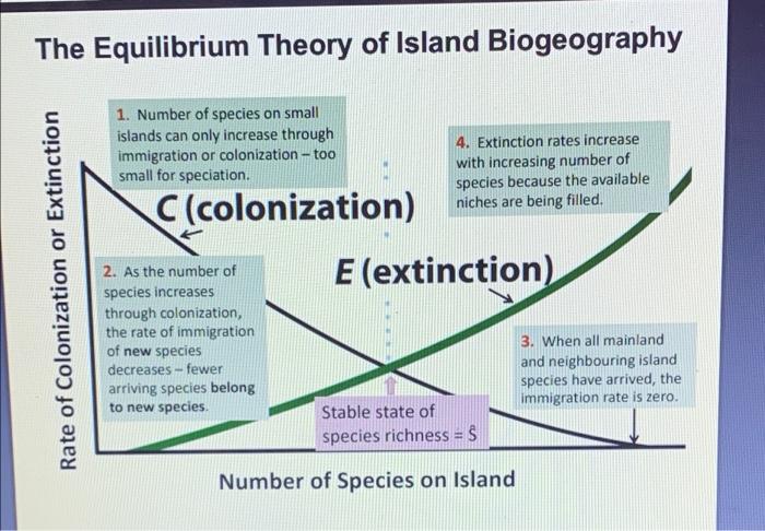 Solved 13. Describe the equilibrium theory of island | Chegg.com