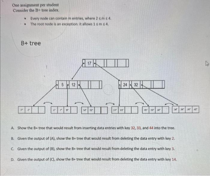 One assignment per student Consider the B+ tree | Chegg.com