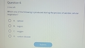 Solved Question 63 ﻿tries leftWhich one of the following is | Chegg.com