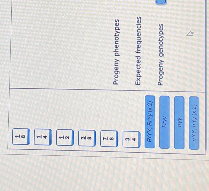 Solved Progeny phenotypes Expected frequencies Progeny | Chegg.com