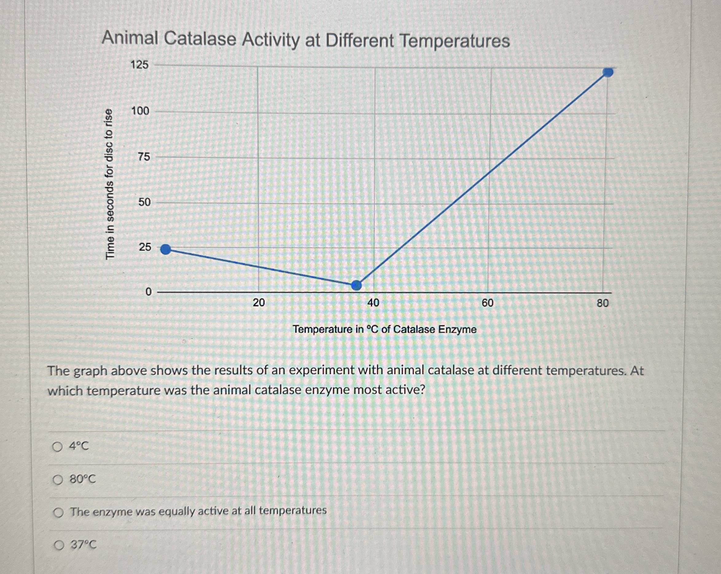 Solved Animal Catalase Activitv at Different | Chegg.com