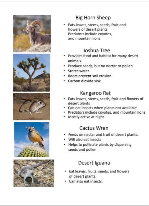 Solved 4. Draw a food web that depicts the flow of energy | Chegg.com