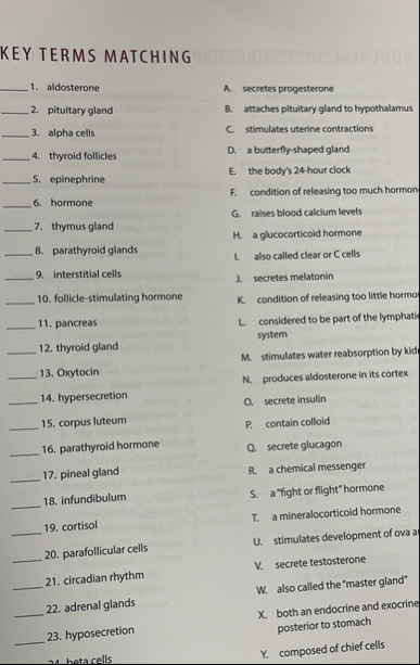 Solved KEY TERMS MATCHINGaldosteronepituitary glandalpha | Chegg.com