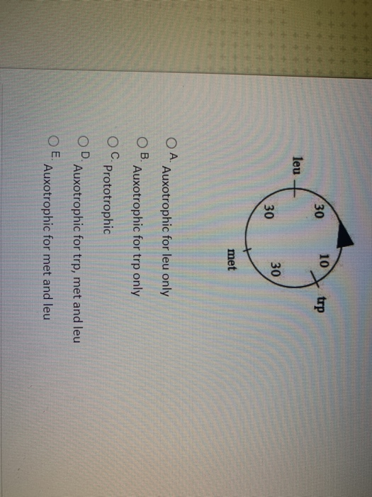 Solved QUESTION 16 The prototrophic Hfr strain of E. coli | Chegg.com