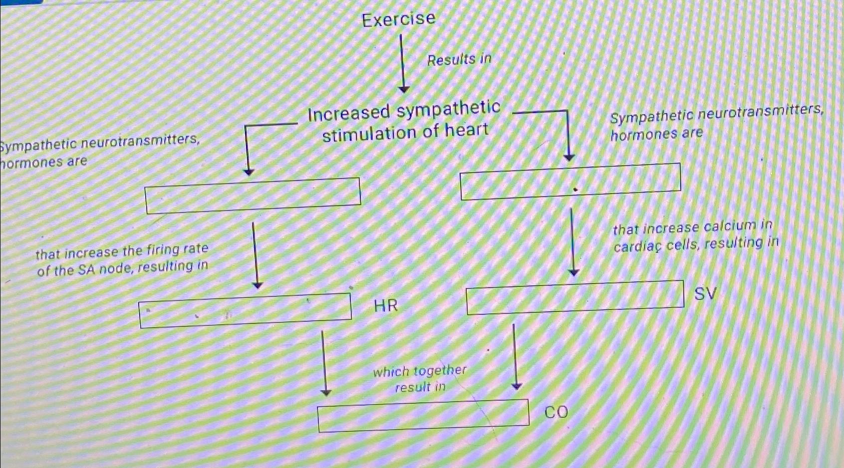 Solved ExerciseResults inthat increase the firing rate of | Chegg.com