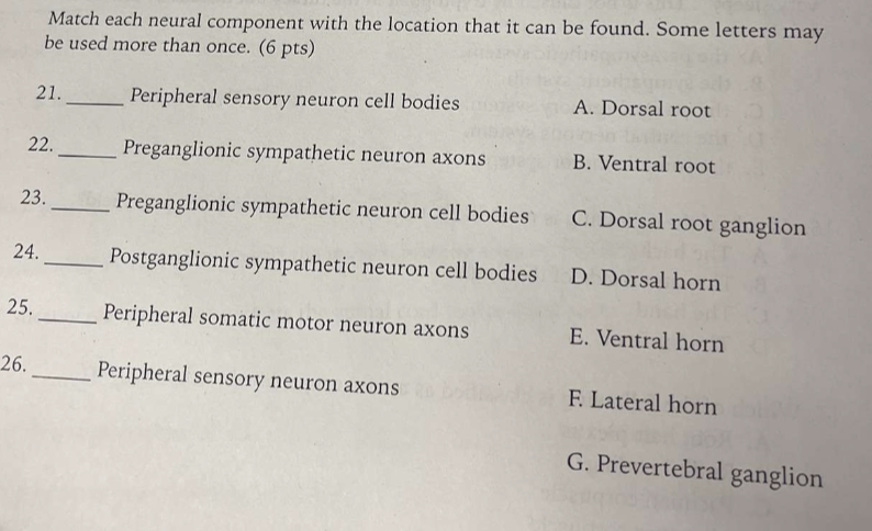 Solved Match each neural component with the location that it | Chegg.com