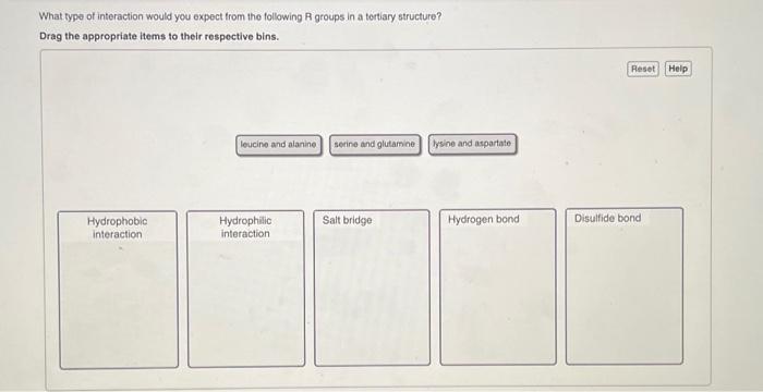 Solved What type of interaction would you expect from the | Chegg.com