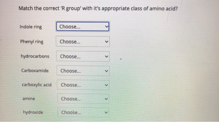 Solved Match the correct 'R group' with it's appropriate | Chegg.com