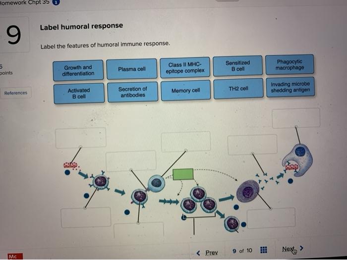 Solved Homework Chpt 35 Label humoral response 9 Label the | Chegg.com