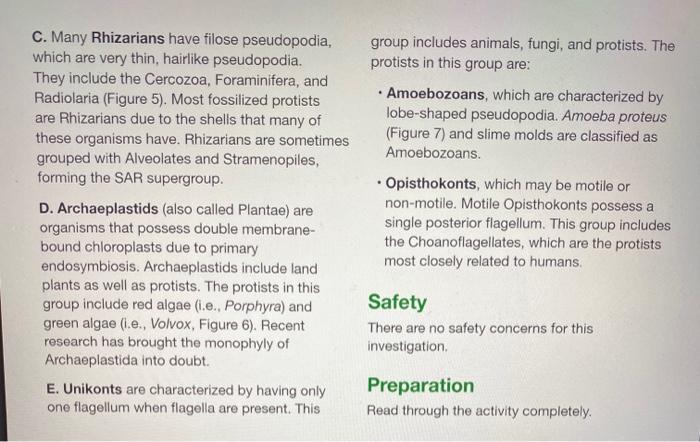 Solved C. Many Rhizarians have filose pseudopodia, which are | Chegg.com
