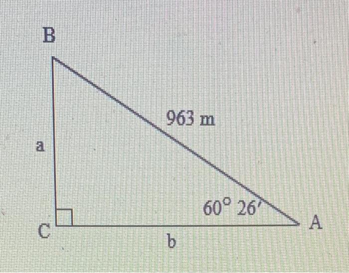 Solved solve yhe right triangle | Chegg.com