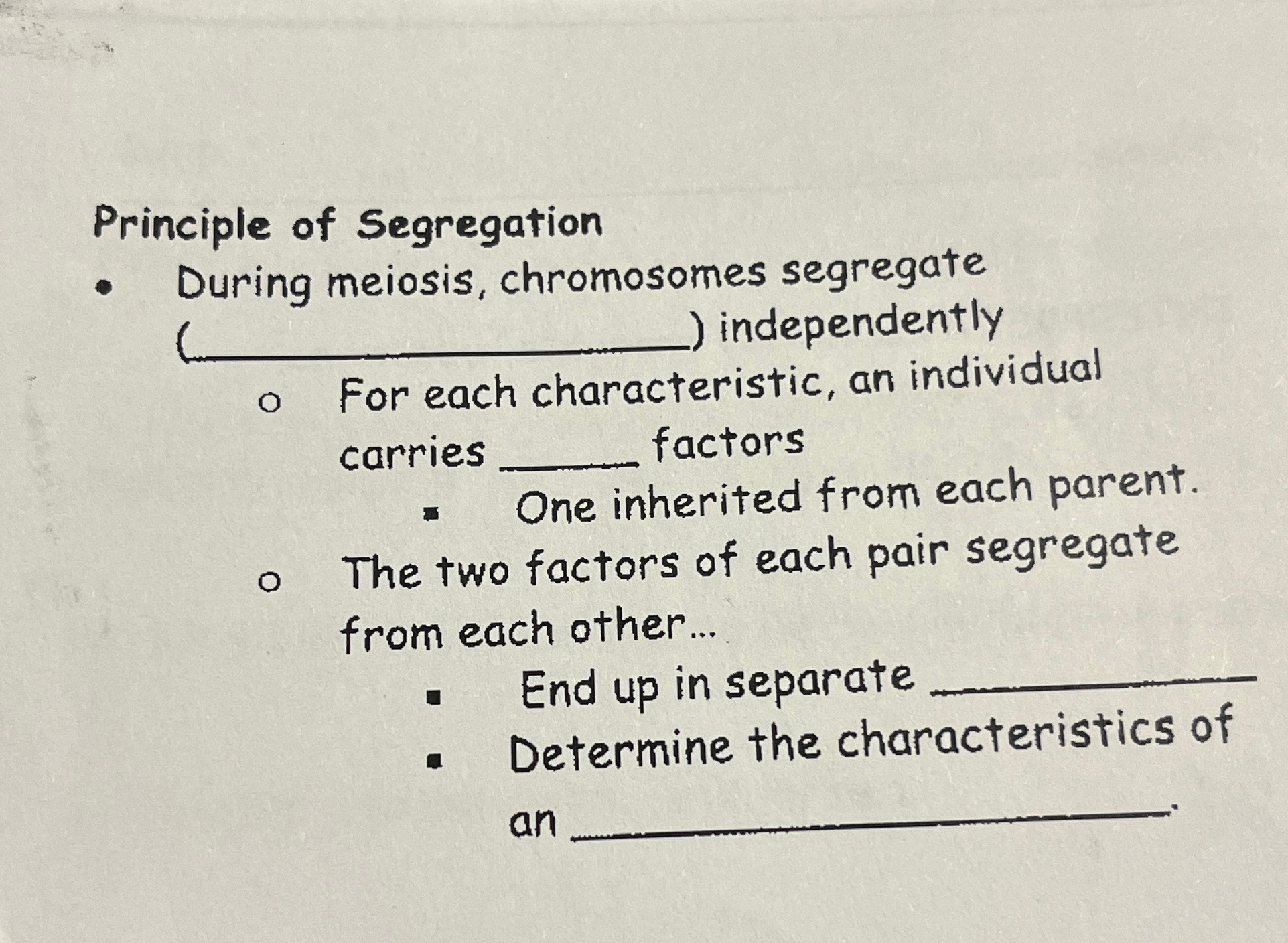 Solved Principle of SegregationDuring meiosis, chromosomes | Chegg.com