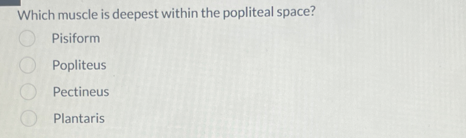 Solved Which muscle is deepest within the popliteal | Chegg.com