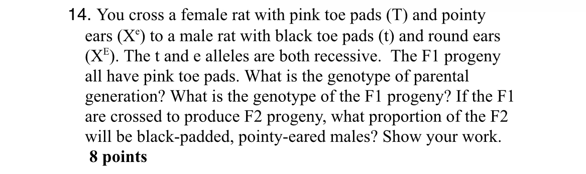 Solved You cross a female rat with pink toe pads (T) ﻿and | Chegg.com