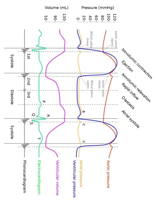 Solved E. Calculate mean arterial pressure (MAP) and pulse | Chegg.com