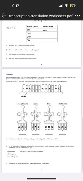 9:17 ,1 ≈26 transcription-translation worksheet.pdf | Chegg.com