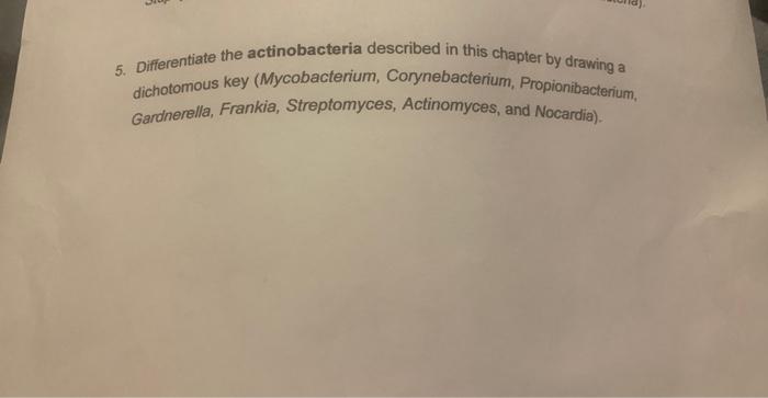 Solved 5. Differentiate the actinobacteria described in this | Chegg.com