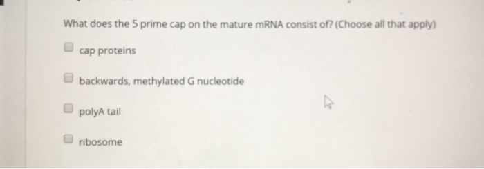 Solved What does the 5 prime cap on the mature mRNA consist | Chegg.com