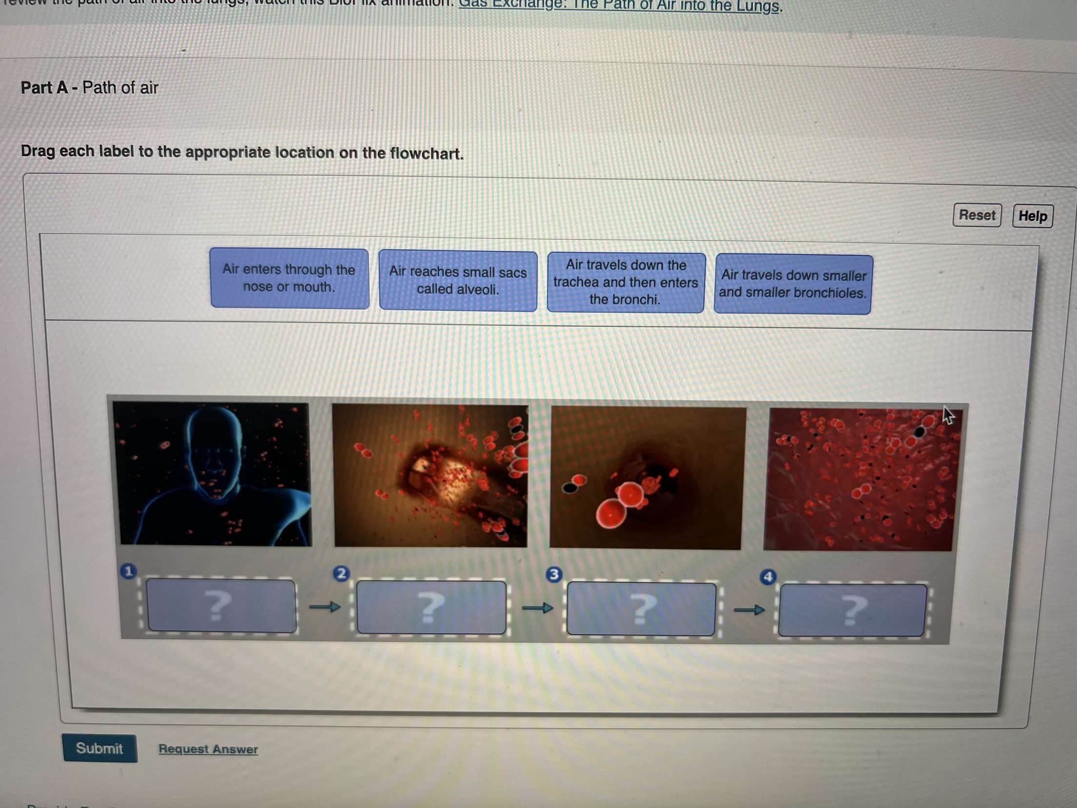 Solved Part A - ﻿Path of airDrag each label to the | Chegg.com