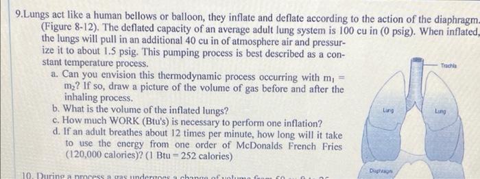 Solved Track 9.Lungs act like a human bellows or balloon, | Chegg.com