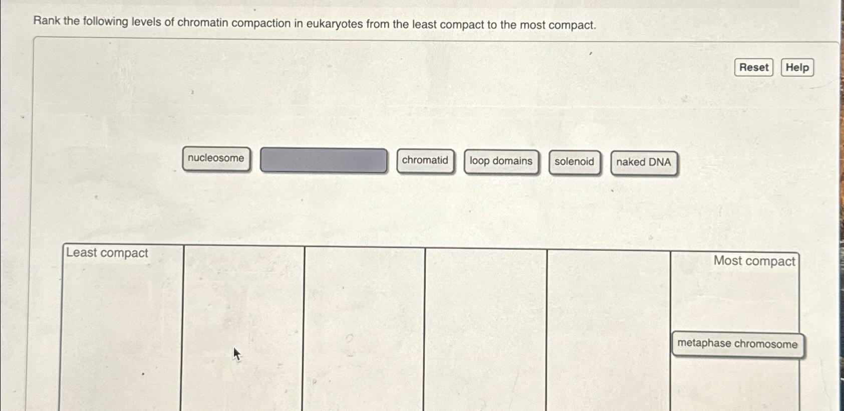 Solved Rank the following levels of chromatin compaction in | Chegg.com