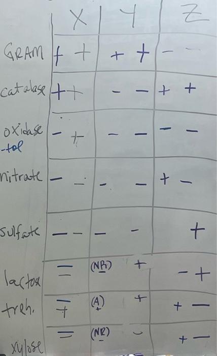 Solved base on the class discussion, what were the | Chegg.com