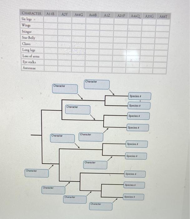 complete character matrix chart and phylogenetic tree | Chegg.com