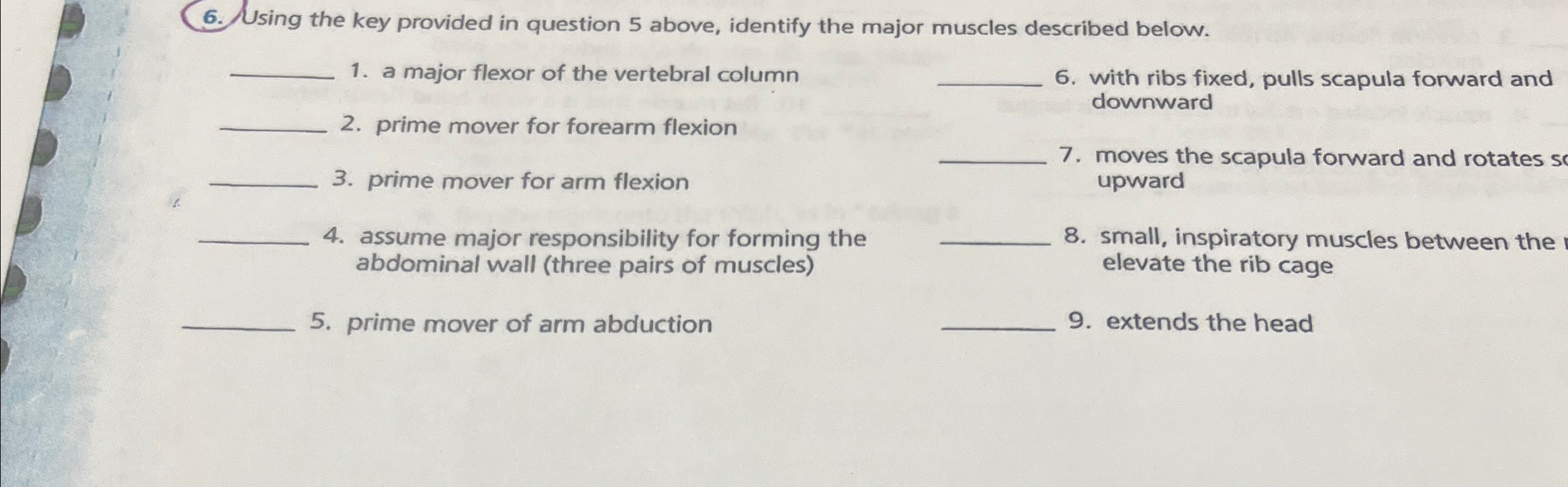 Solved Using the key provided in question 5 ﻿above, identify | Chegg.com