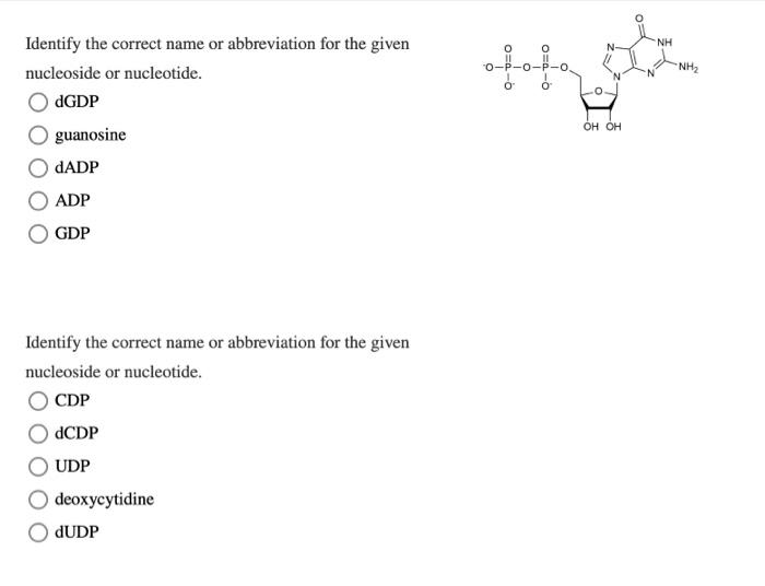Solved Identify the correct name or abbreviation for the | Chegg.com