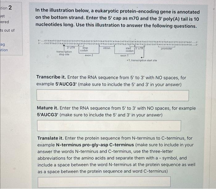 Solved In the illustration below, a eukaryotic | Chegg.com