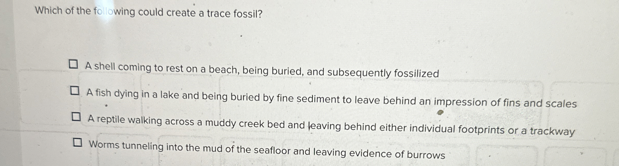 Solved Which of the following could create a trace fossil?A | Chegg.com
