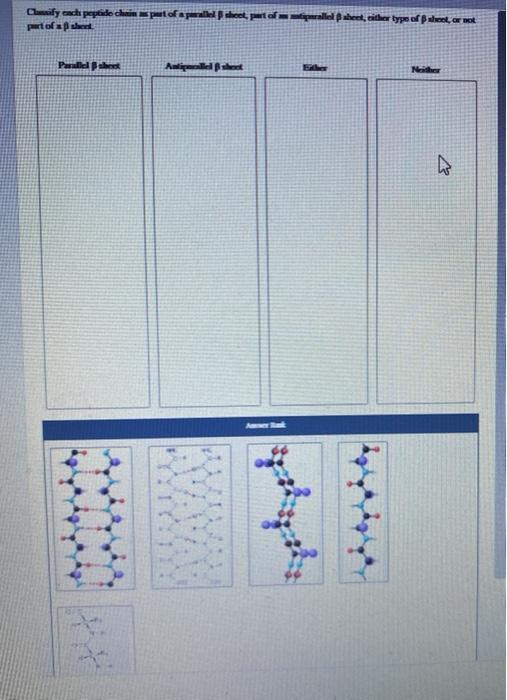 Solved Caxify and peptide chains put of a parallel tee pole | Chegg.com