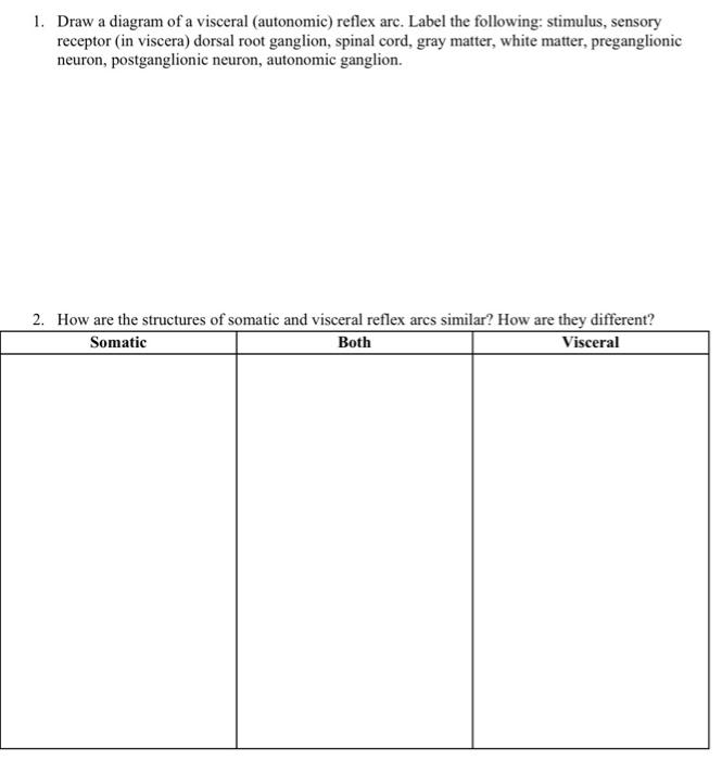Solved 1. Draw a diagram of a visceral (autonomic) reflex | Chegg.com