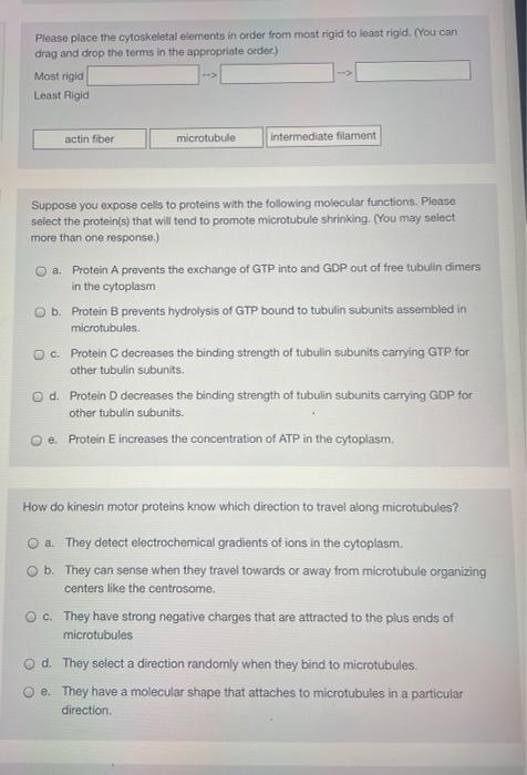 Solved The subunit of this cytoskeletal element exhibits | Chegg.com