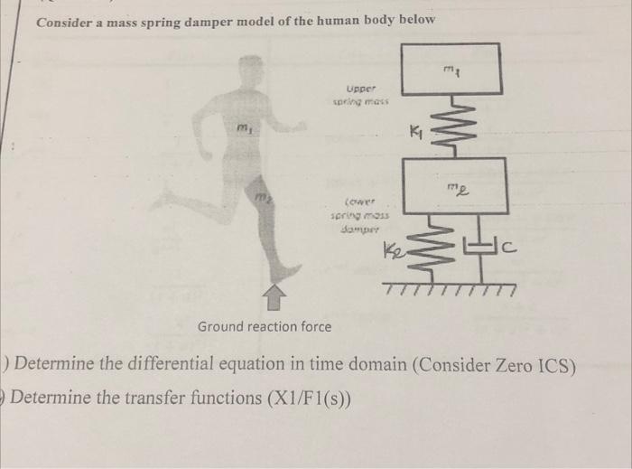 Solved Consider a mass spring damper model of the human body | Chegg.com