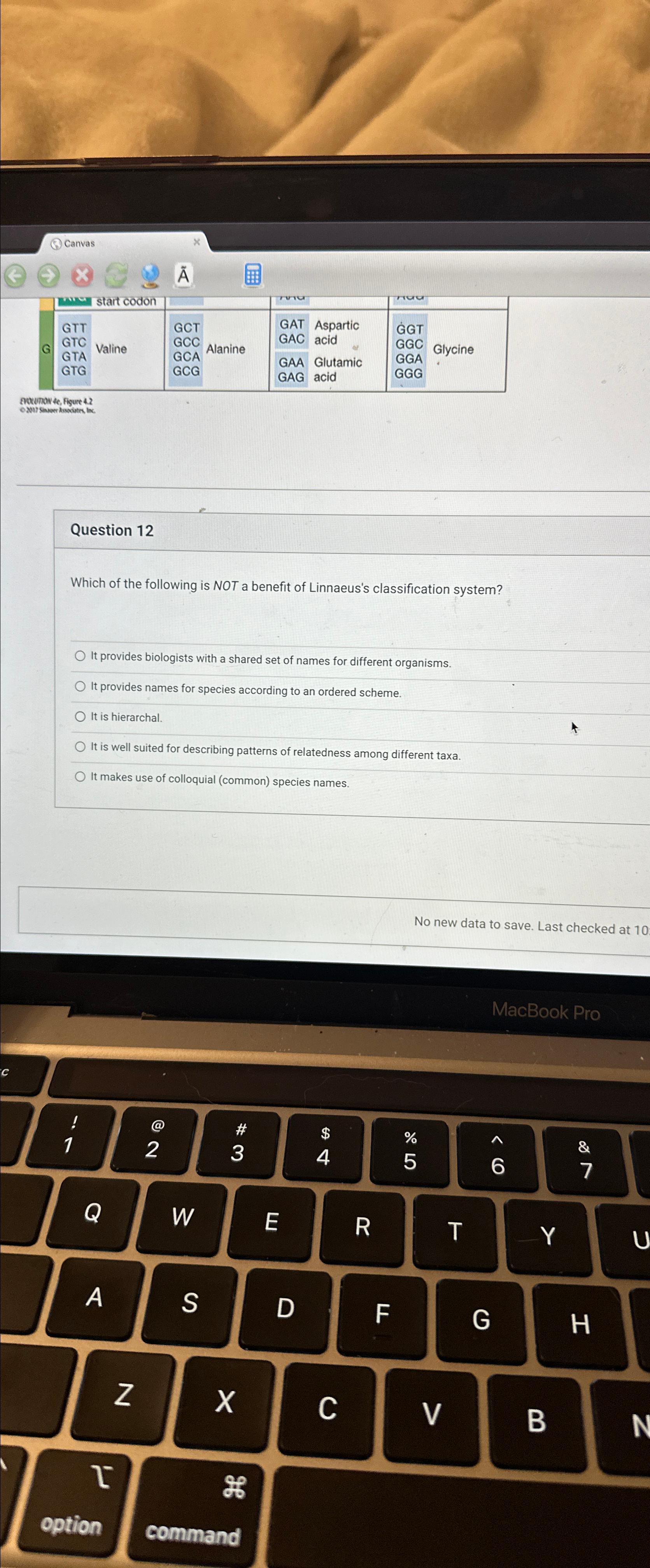 Solved (3) ﻿Canvas(2)Question 12Which of the following is | Chegg.com