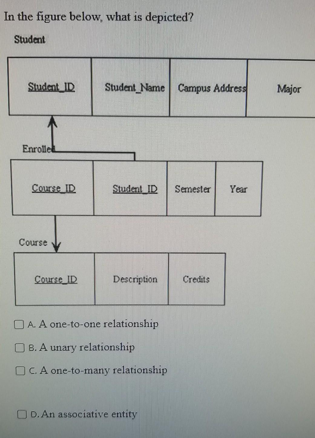 Solved In the figure below, what is depicted? Studant | Chegg.com