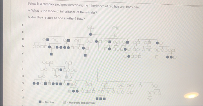 Solved Below is a complex pedigree describing the | Chegg.com