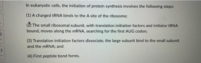 Solved In eukaryotic cells, the initiation of protein | Chegg.com