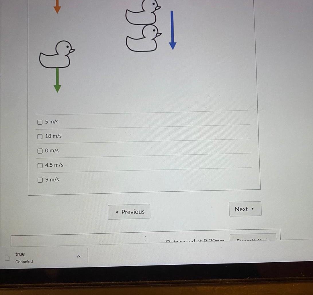 Solved Two rubber ducks with the same mass are in free fall | Chegg.com