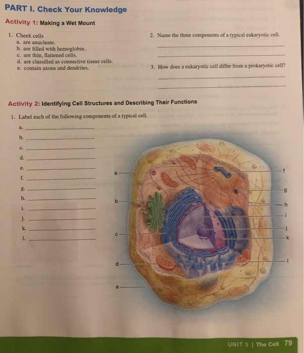 Solved PART I. Check Your Knowledge Activity 1: Making a Wet | Chegg.com
