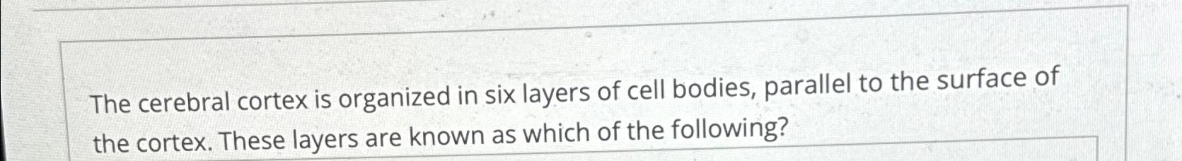 Solved The cerebral cortex is organized in six layers of | Chegg.com