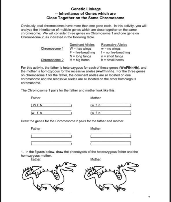 Gene Linkage Worksheet