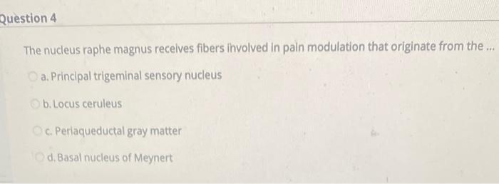 Solved Question 4 The nucleus raphe magnus receives fibers | Chegg.com