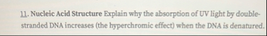 Solved Nucleic Acid Structure Explain why the absorption of | Chegg.com