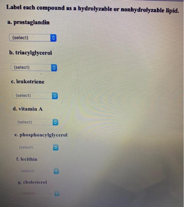 Solved Give the omega-n designation for (a) oleic acid | Chegg.com