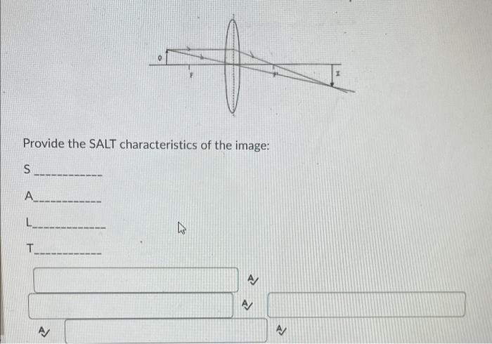 Solved + Provide the SALT characteristics of the image: S A | Chegg.com