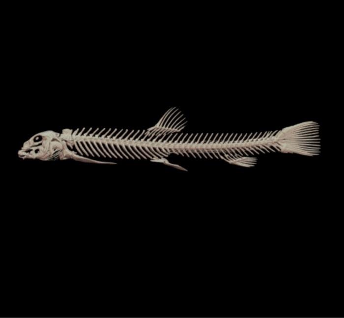 Solved 1 | Chegg.com