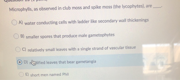 Solved QueSLIUIJ Pum) Microphylls, as observed in club moss | Chegg.com